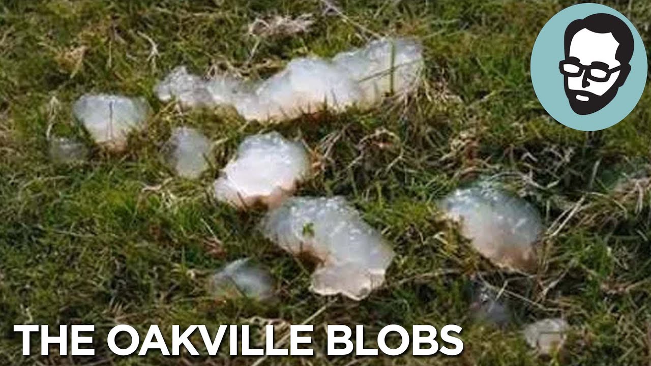 They Thought It Was Hail. It Was Something WAY Weirder. - Answers With Joe